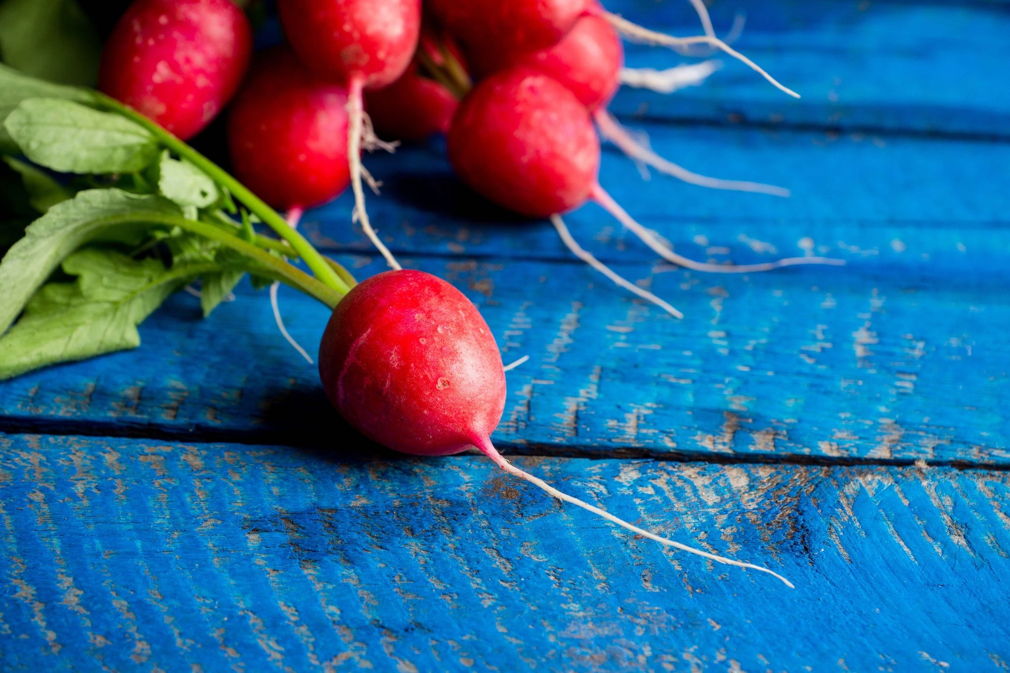 Radiser mod bumser? Er radiser sunde og giver smuk hud uden bumser?